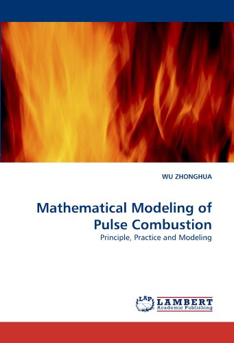 Mathematical Modeling of Pulse Combustion: Principle, Practice and Modeling by WU ZHONGHUA ...
