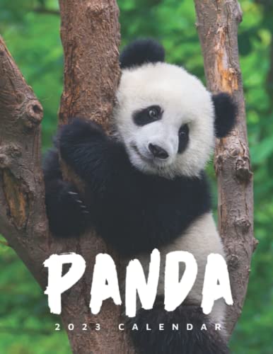 Panda Calendar 2023: Great gift for YOU with 18-months Calendar from ...