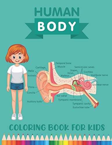 Human Body Coloring Book for Kids: Over 30 Human Body Parts Coloring ...
