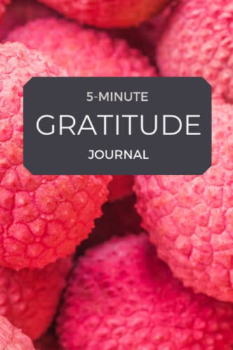 5-Minute Daily Gratitude Journal: 119-Day Gratitude Journal Notebook ...