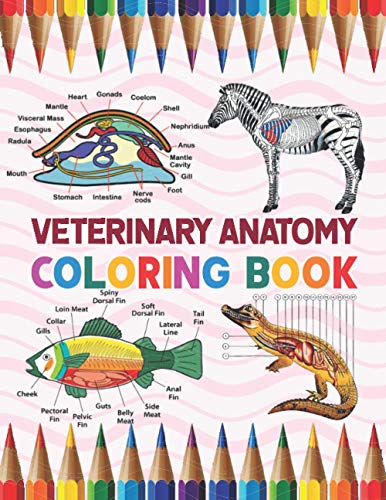 Veterinary Anatomy Coloring Book: Incredibly Detailed Self-Test ...