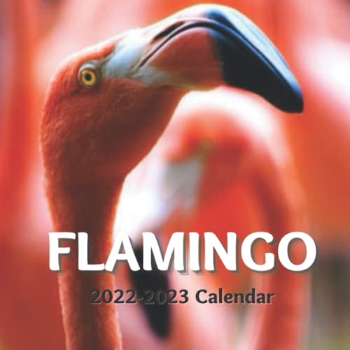 Flamingo Calendar 2022-2023: 24 Month Calendar: Cute Gift Idea For ...