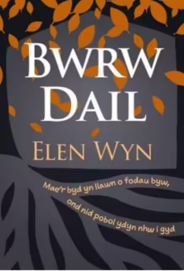 Bwrw Dail by Elen Wyn | Goodreads