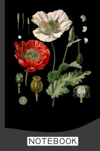 Red Poppy flower Botanical Poppies Red Poppy Notebook: Flower Notebook ...