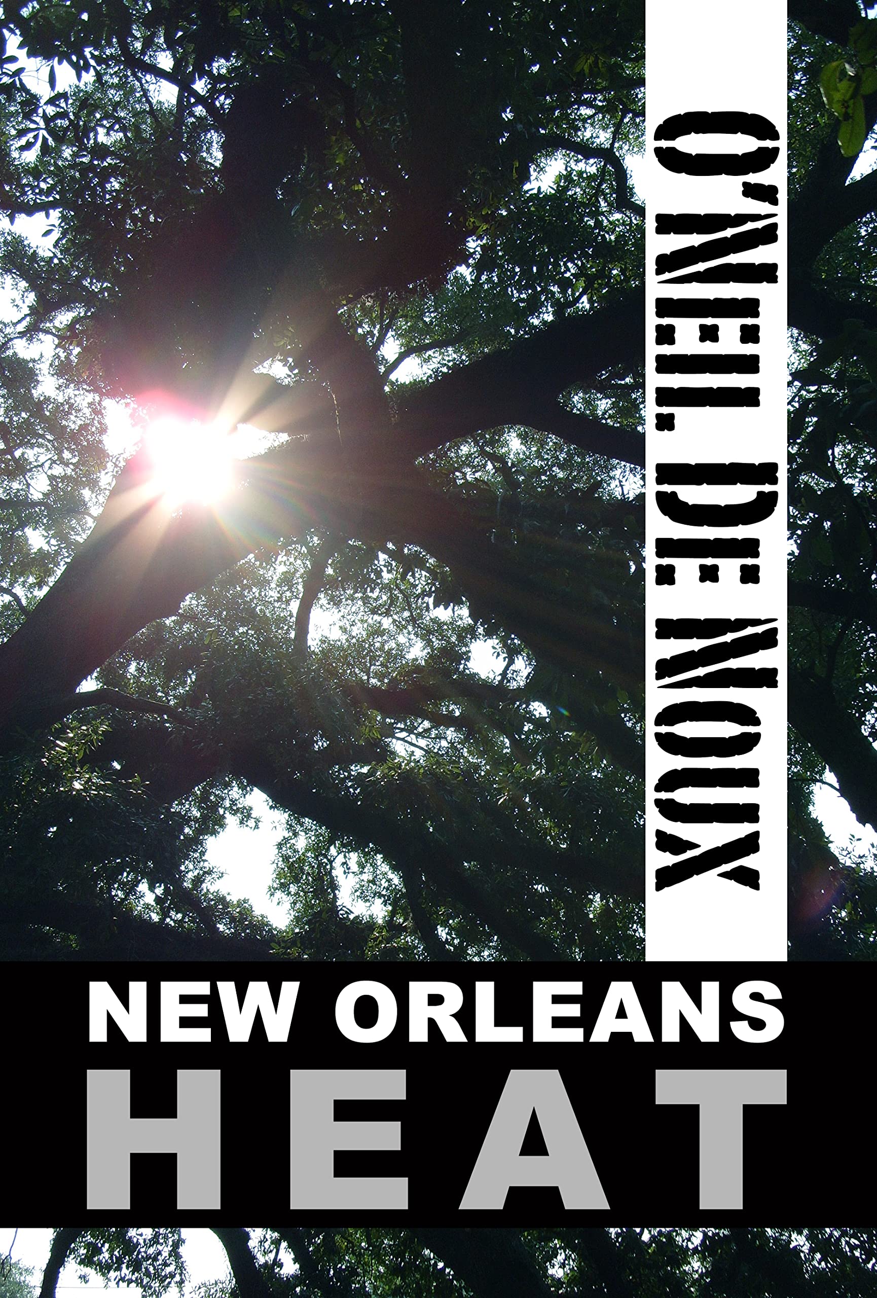 New Orleans Heat by O'Neil De Noux | Goodreads