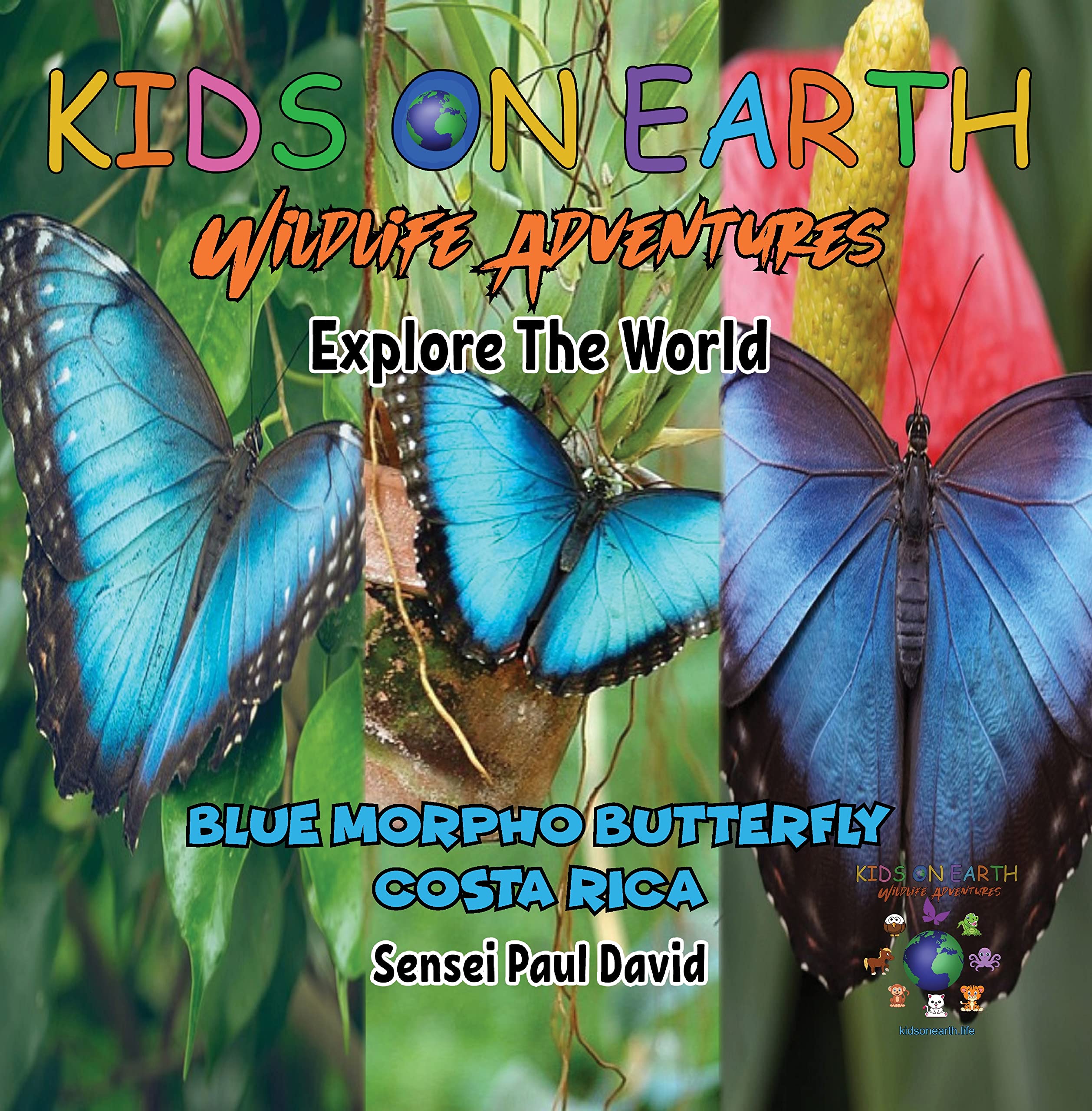KIDS ON EARTH Wildlife Adventures – Explore The World Blue Morpho ...