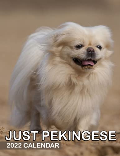 Pekingese 2022 Calendar: Beautiful Animals Calendar 2022, January 2022 ...