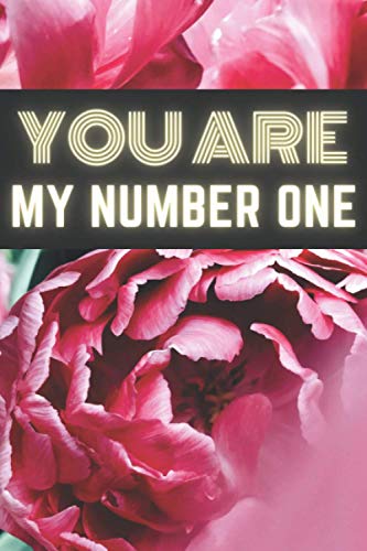 You Are My Number One: Cute Love Story Notebook | Daily Romantic ...