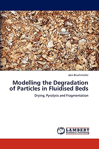 Modelling the Degradation of Particles in Fluidised Beds: Drying, Pyrolysis and Fragmentation by ...