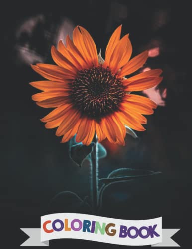 Coloring Book: An Adult Coloring Book Christmas And Beautiful Floral ...