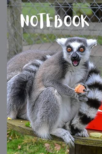 NOTEBOOK: NOTEBOOK: Lemur design by Penny Potts | Goodreads