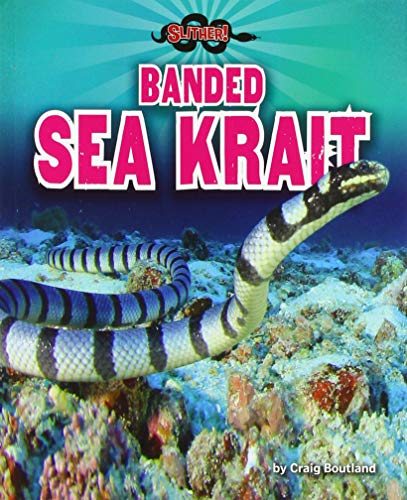 Banded Sea Krait - Non-Fiction Reading About Snakes for Grade 3 ...