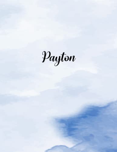 Payton: Daily Task Planner - Daily Checklist Productivity Journal ...