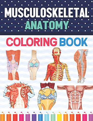 Musculoskeletal Anatomy Coloring Book: Medical Anatomy Coloring Book ...