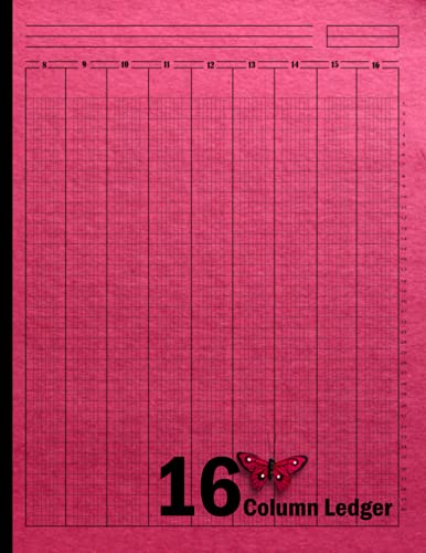 16 Column Ledger Book: Sixteen Column Ledger Notebook, Accounting ...