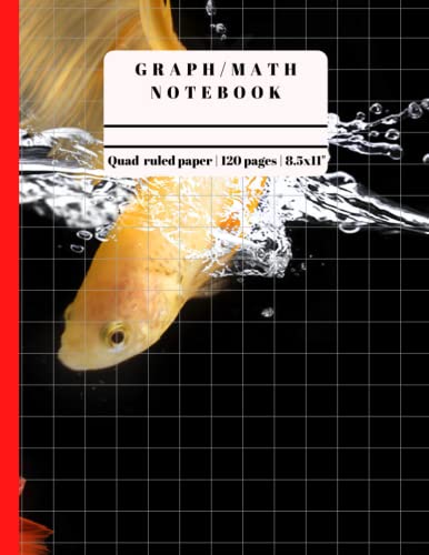 GRAPH/MATH COMPOSITION: 120 QUAD RULED PAPER PAGES, College Dimensions ...