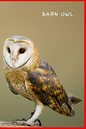 Barn Owl by Fred Flynn | Goodreads