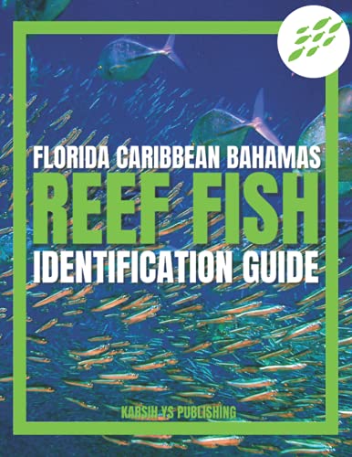 Reef Fish Identification Guide : Florida Caribbean Bahamas by Karish Ys ...