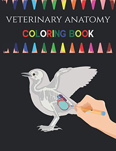 Veterinary Anatomy Coloring Book: Veterinary Coloring Book ...