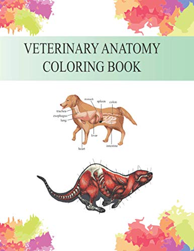 Veterinary Anatomy Coloring Book: Anatomy Coloring Books, Introduction ...