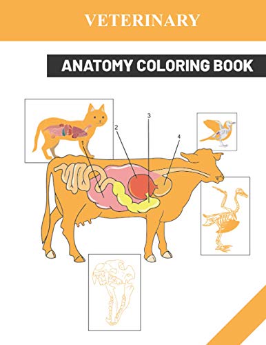 Veterinary Anatomy Coloring Book: Veterinary Coloring Book, Adult ...