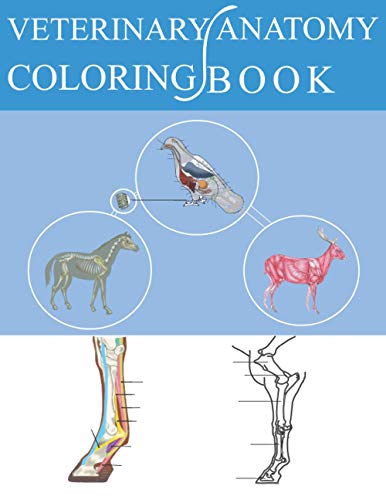 Veterinary Anatomy Coloring Book: The Anatomy Coloring Book, A Snarky ...
