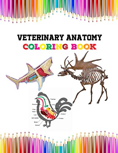 Veterinary Anatomy Coloring Book: Anatomy Coloring Books, An Adult ...