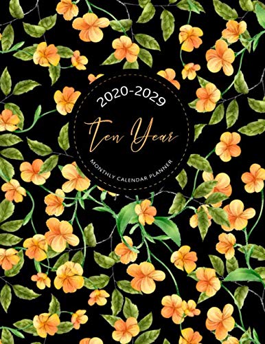 2020-2029 Monthly Calendar Ten Year Planner: 10 Year Planner Organizer ...