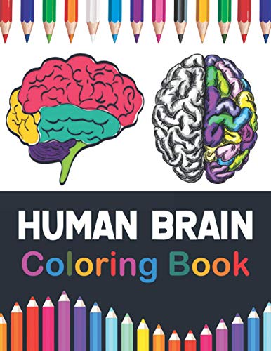 Human Brain Coloring Book: Human Body Student's Self-Test Coloring Book ...