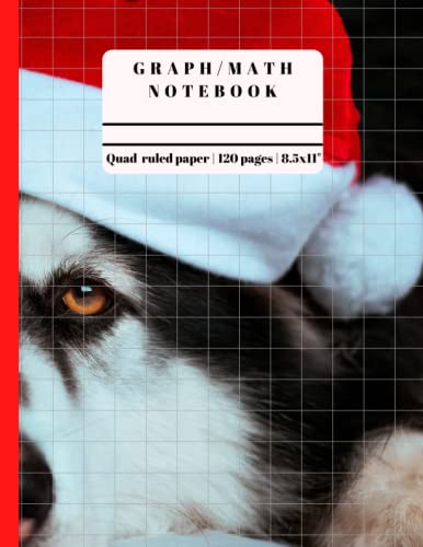 GRAPH/MATH COMPOSITION: 120 QUAD RULED PAPER PAGES, College Dimensions ...