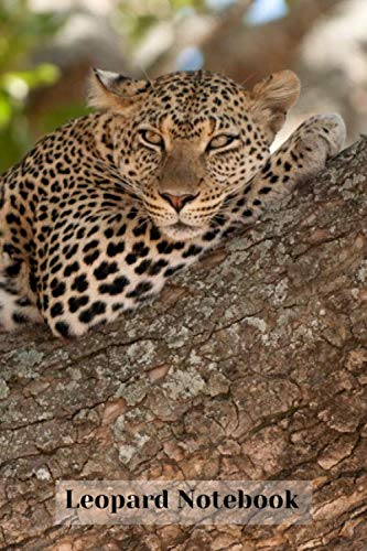 Leopard Notebook: Portable lined Leopard - Travel Journal to write in - 120 pages - 6"x9" by ...