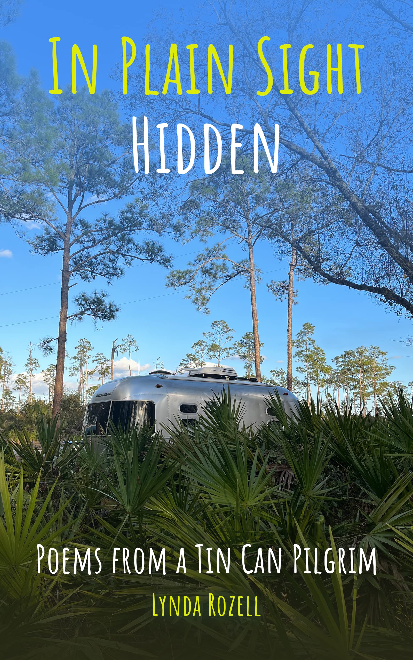 In Plain Sight Hidden: Poems from a Tin Can Pilgrim by Lynda Rozell ...