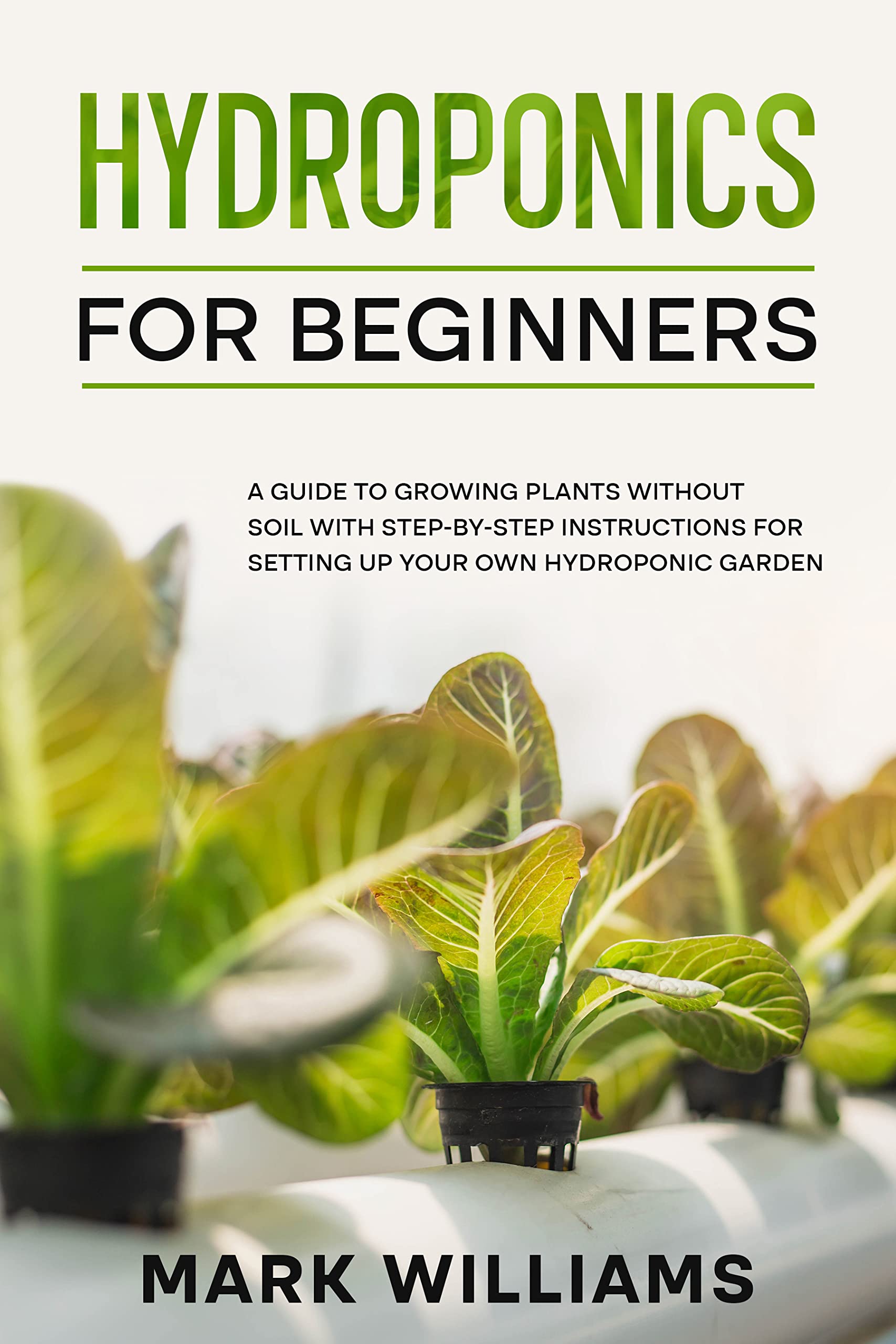Hydroponics for Beginners: A Guide to Growing Plants Without Soil with ...