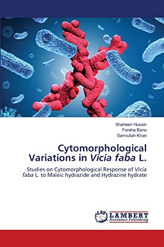 Cytomorphological Variations in Vicia faba L.: Studies on ...