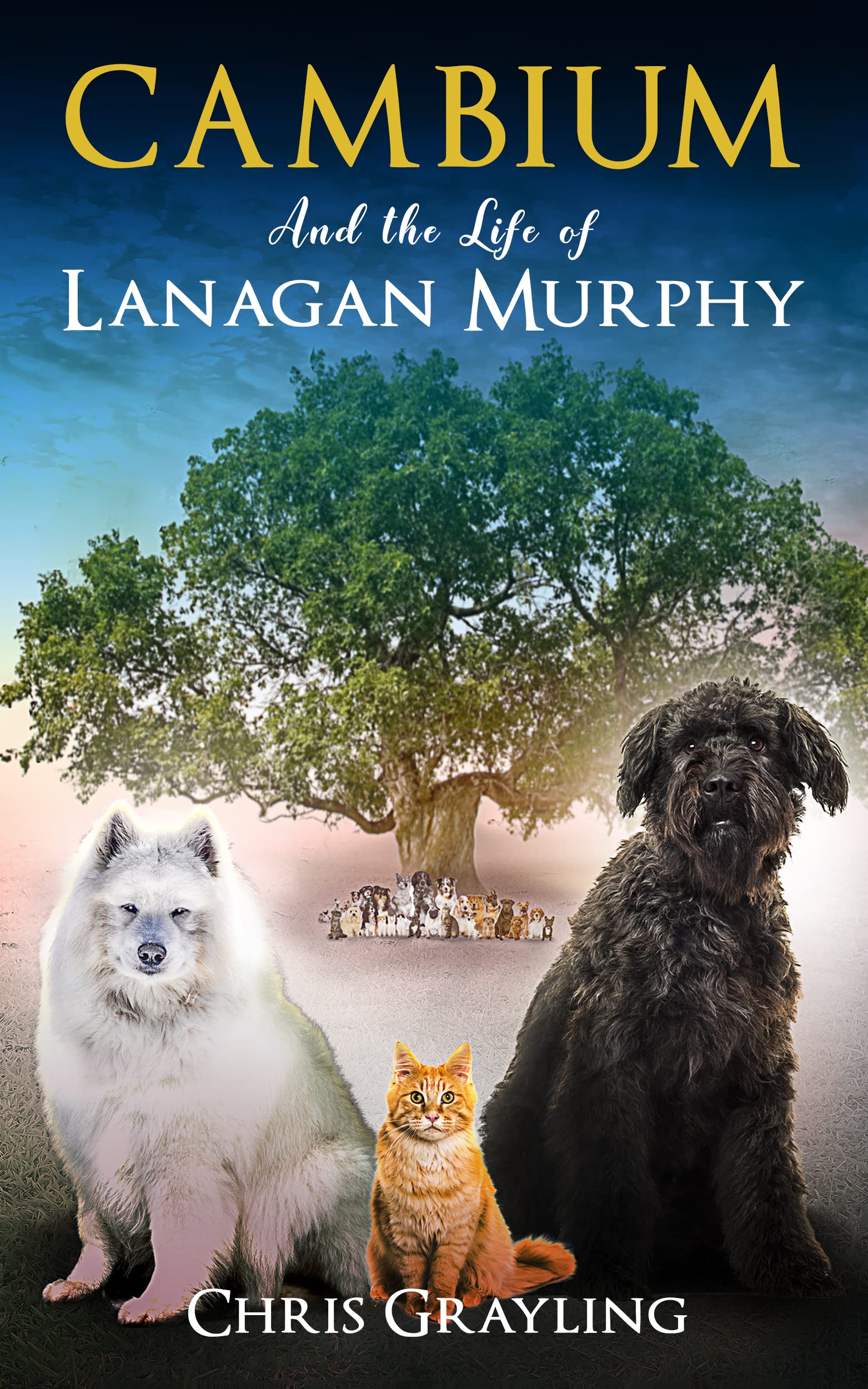 CAMBIUM and the Life of Lanagan Murphy by Chris Grayling | Goodreads