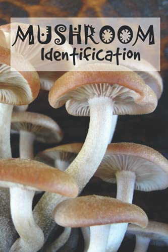 Mushroom identification: Travel Diary Notebook for Kids and Adults ...