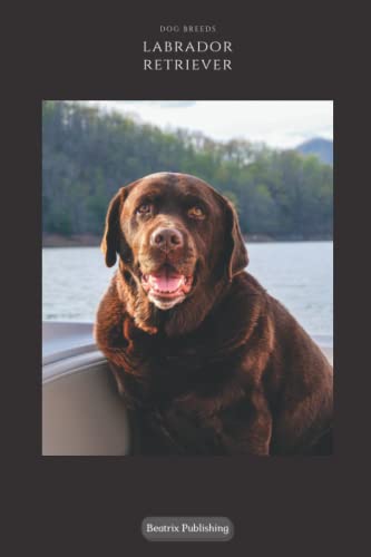 Notebook Dog Breeds Labrador Retriever: Yournal, Diary, Animal Print by ...