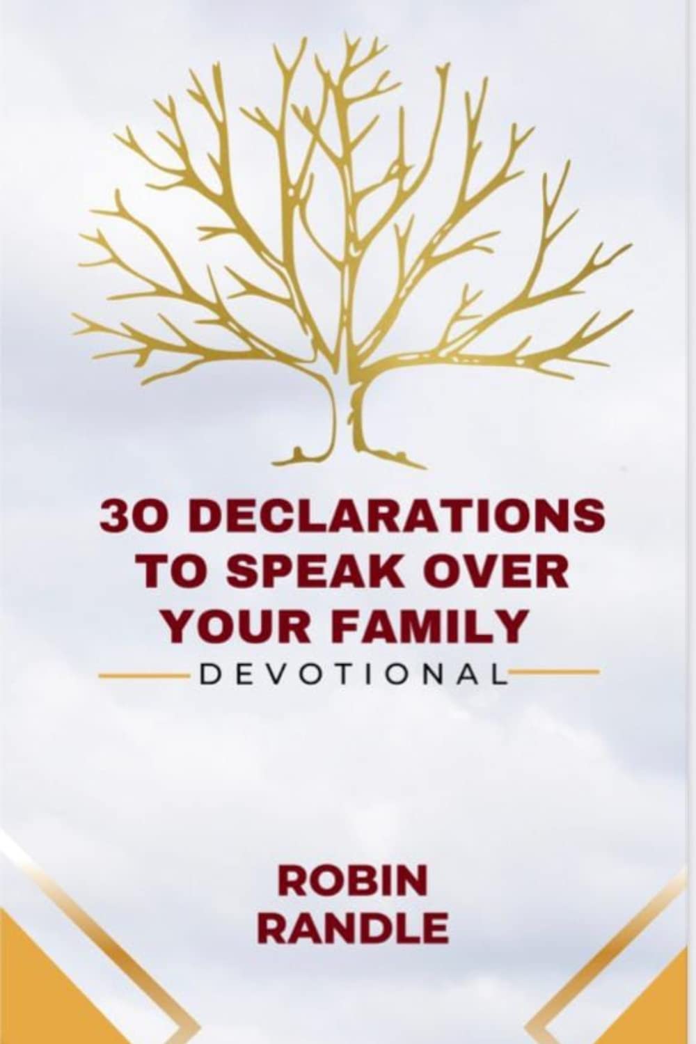 3O DECLARATIONS TO SPEAK OVER YOUR FAMILY DEVOTIONAL by Robin Randle ...