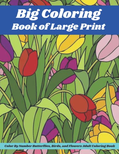 Big Coloring Book of Large Print Color By Number Butterflies, Birds ...