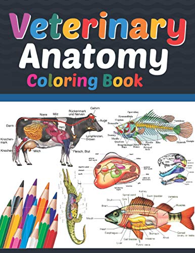 Veterinary Anatomy Coloring Book: Veterinary Anatomy Learning Workbook ...
