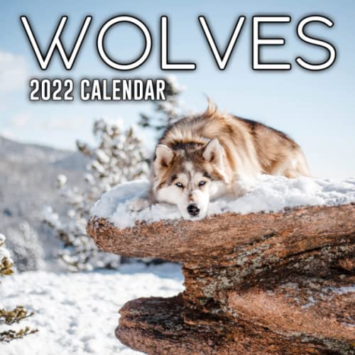 Wolves 2022 Calendar: North America Wild Life Mini Monthly Planner 12 ...