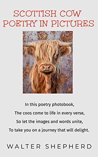 Scottish Cow Poetry in Pictures: In this poetry photobook, The coos ...