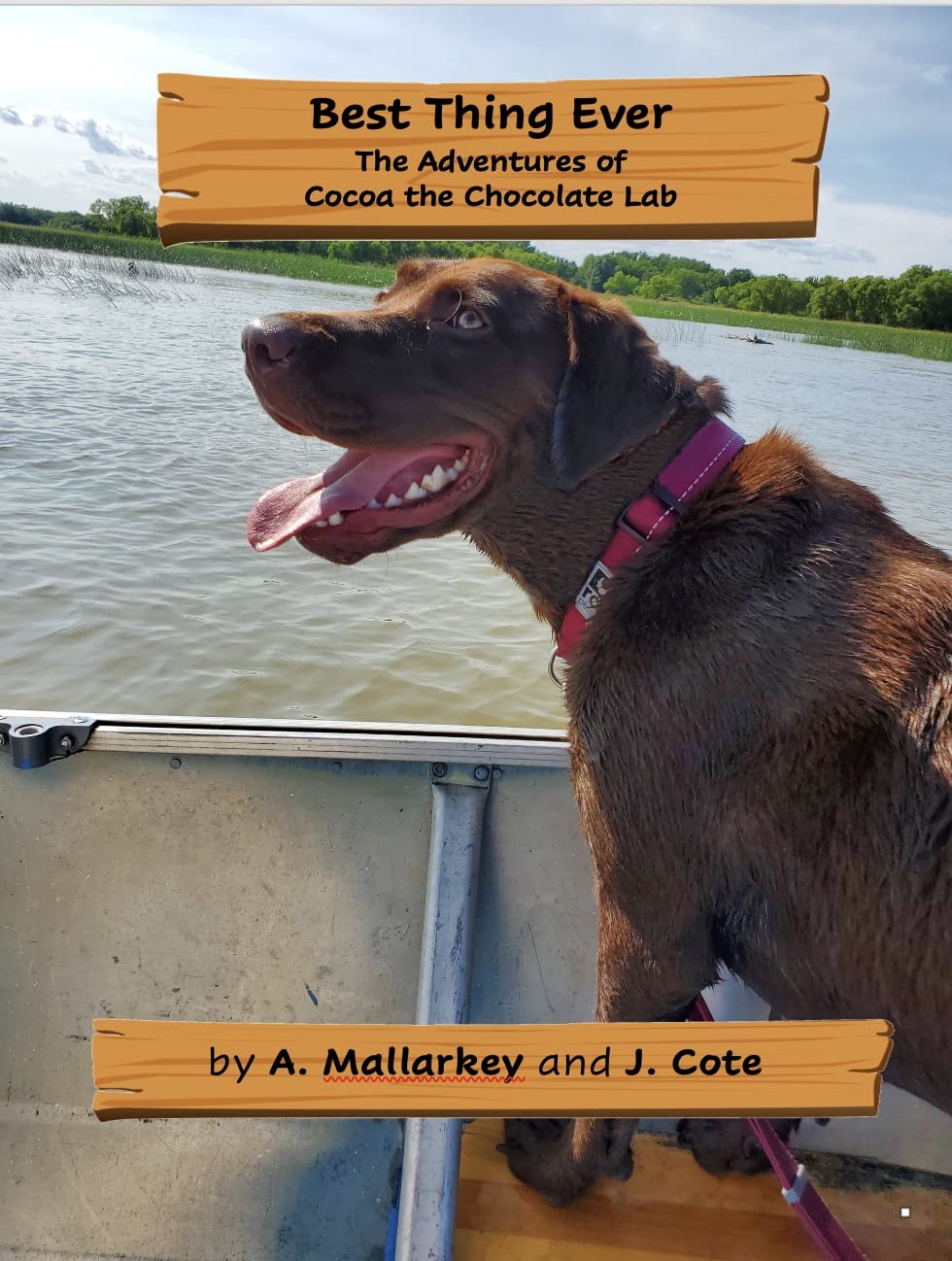 Best Thing Ever: A Cocoa the Chocolate Lab Adventure by A Mallarkey ...