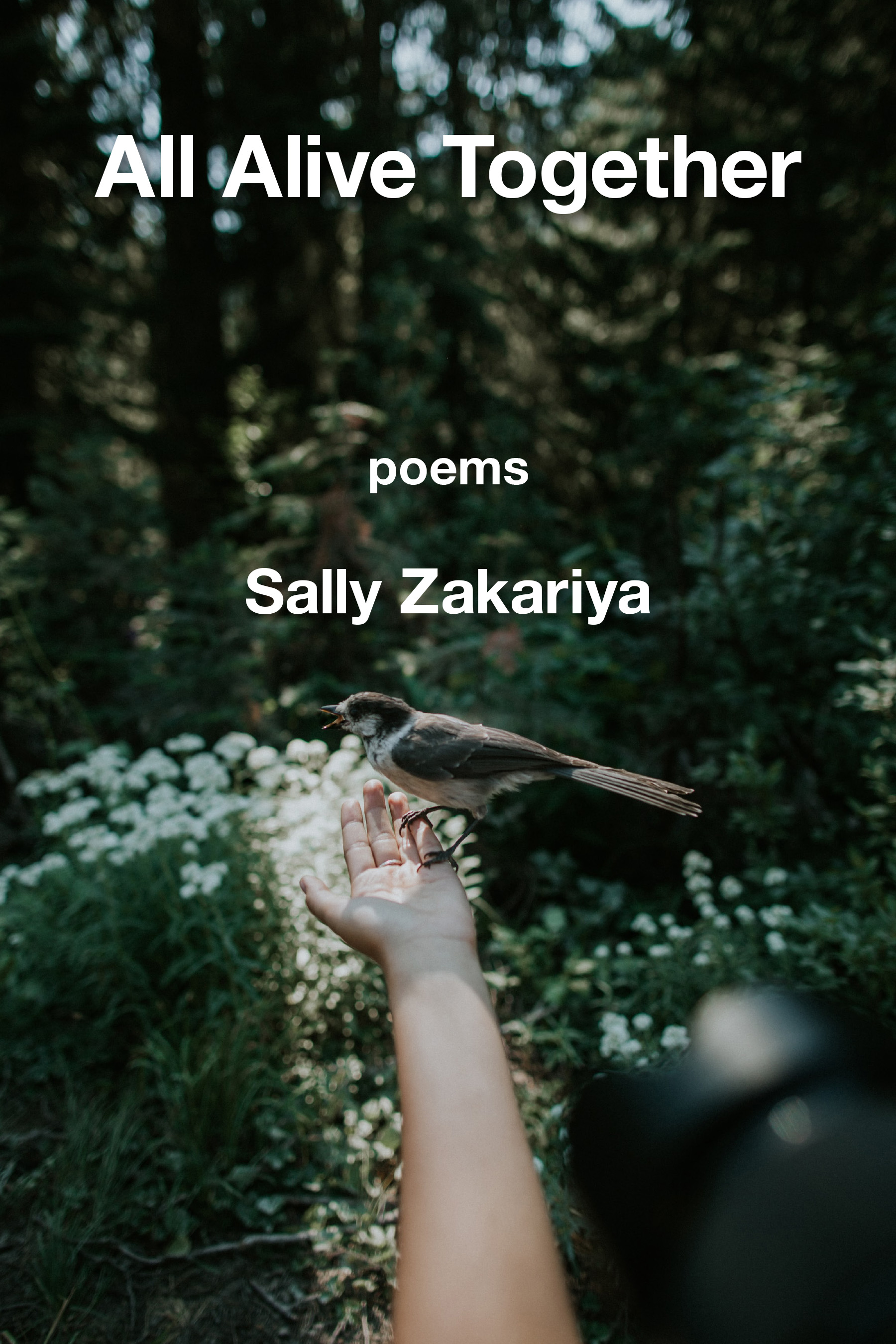 All Alive Together by Sally Zakariya | Goodreads