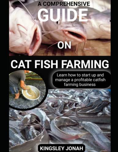 A COMPREHENSIVE GUIDE ON CATFISH FARMING: Learn how to start up and ...