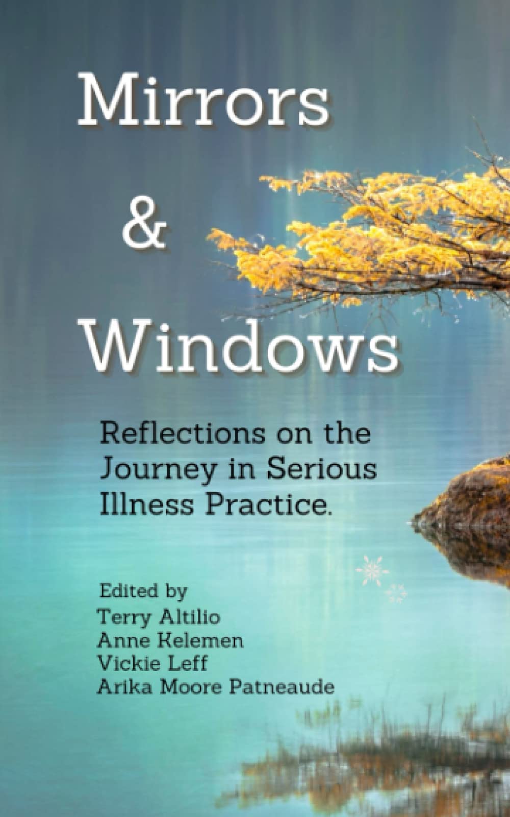 Mirrors and Windows: Reflections on the Journey in Serious Illness ...