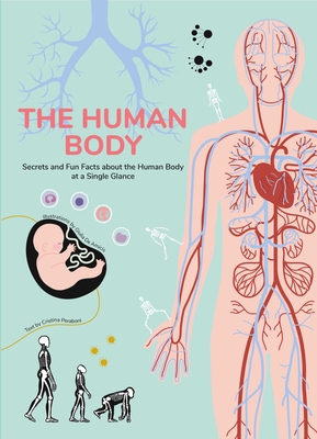 The Human Body Mysteries Explained: An Illustrated Parts of the Body ...