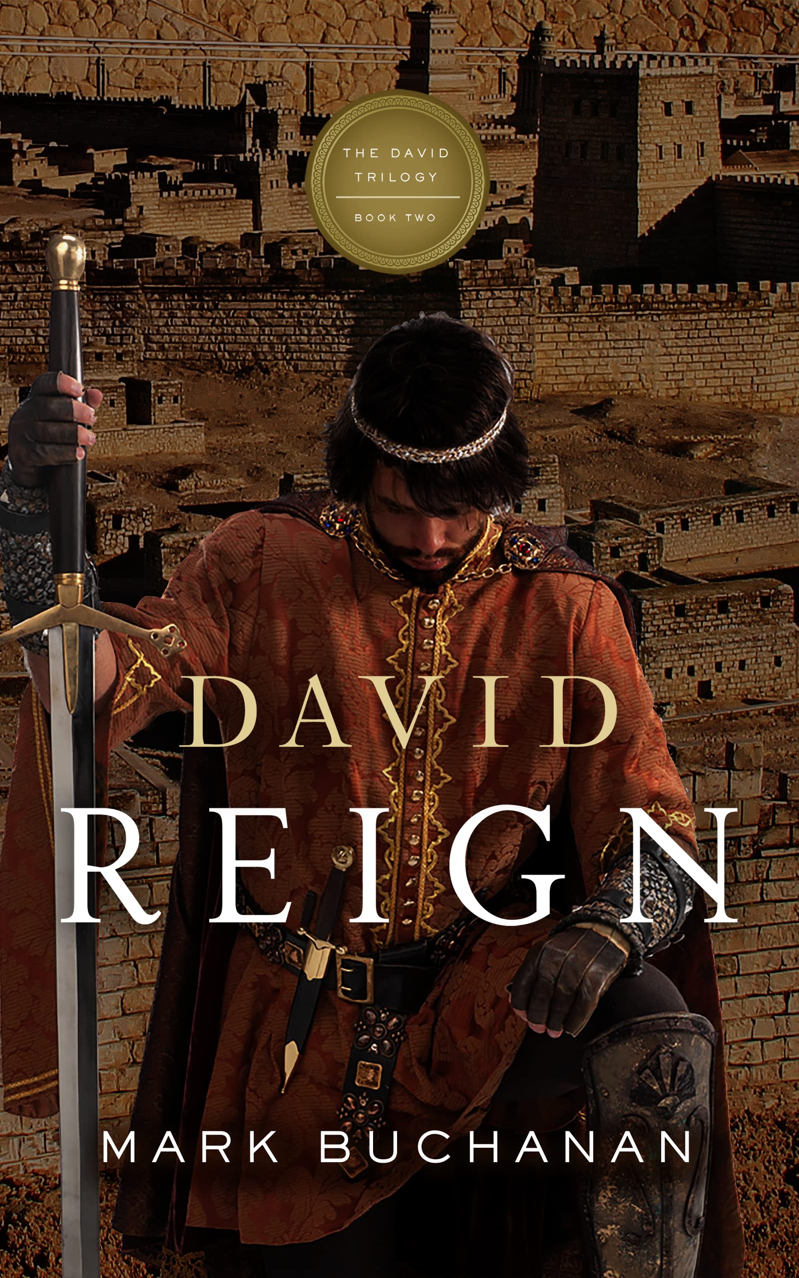 David: Reign (The David Trilogy Book 2) by Mark Buchanan | Goodreads