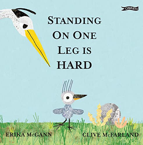 Standing on One Leg is Hard by Erika McGann | Goodreads