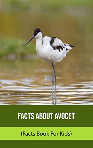 Facts About Avocet (Facts Book For Kids) by Lina Raol | Goodreads